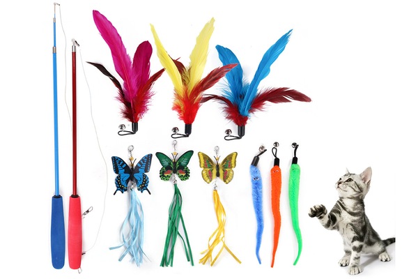 Buy 11 Pcs Interactive Cat Toy Set Telescopic Cat Wand with Feather ...