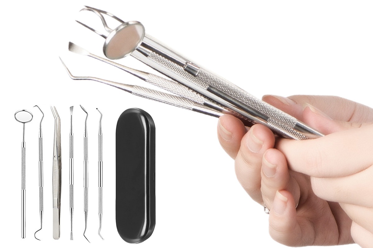 Buy Professional Dental Tool Kit 6 Piece Stainless Steel Oral Care Set ...