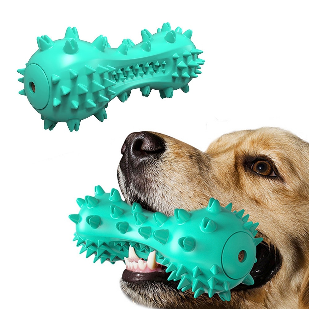 Buy Dog Chew Toothbrush Toy - Squeaky Durable Rubber Dog Toys for Teeth ...