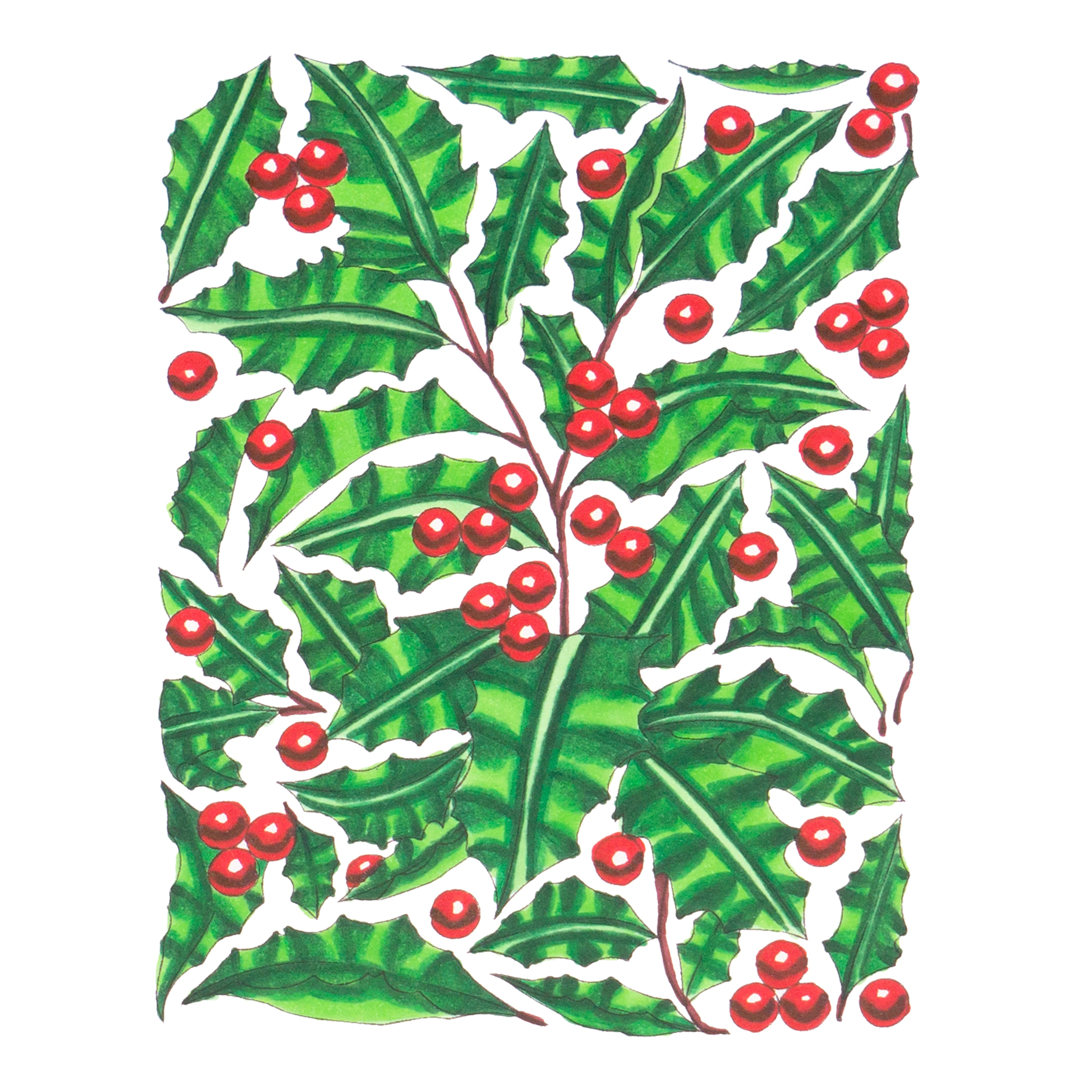 Buy Holly Background Stamp & Colour Outline Stamp CO728509 - MyDeal ...