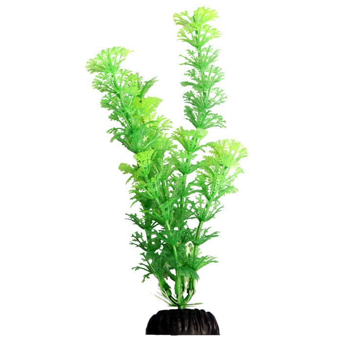 Buy Aqua One Ecoscape Ambulia Green Plastic Plant 20cm - Med (28397 ...