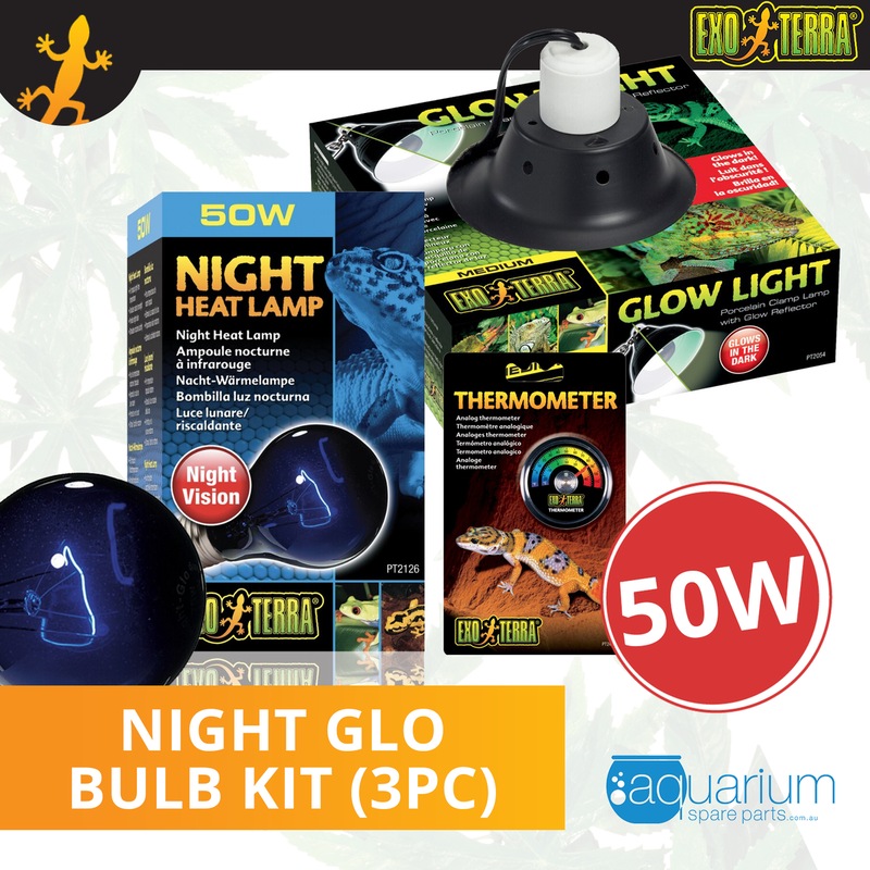 Buy Exo Terra Night Glo Bulb Kit 50W (3pc) - MyDeal