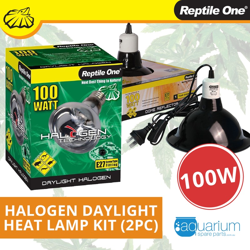 Buy Reptile One Halogen Daylight Heat Lamp Kit w/ Ceramic Dome ...