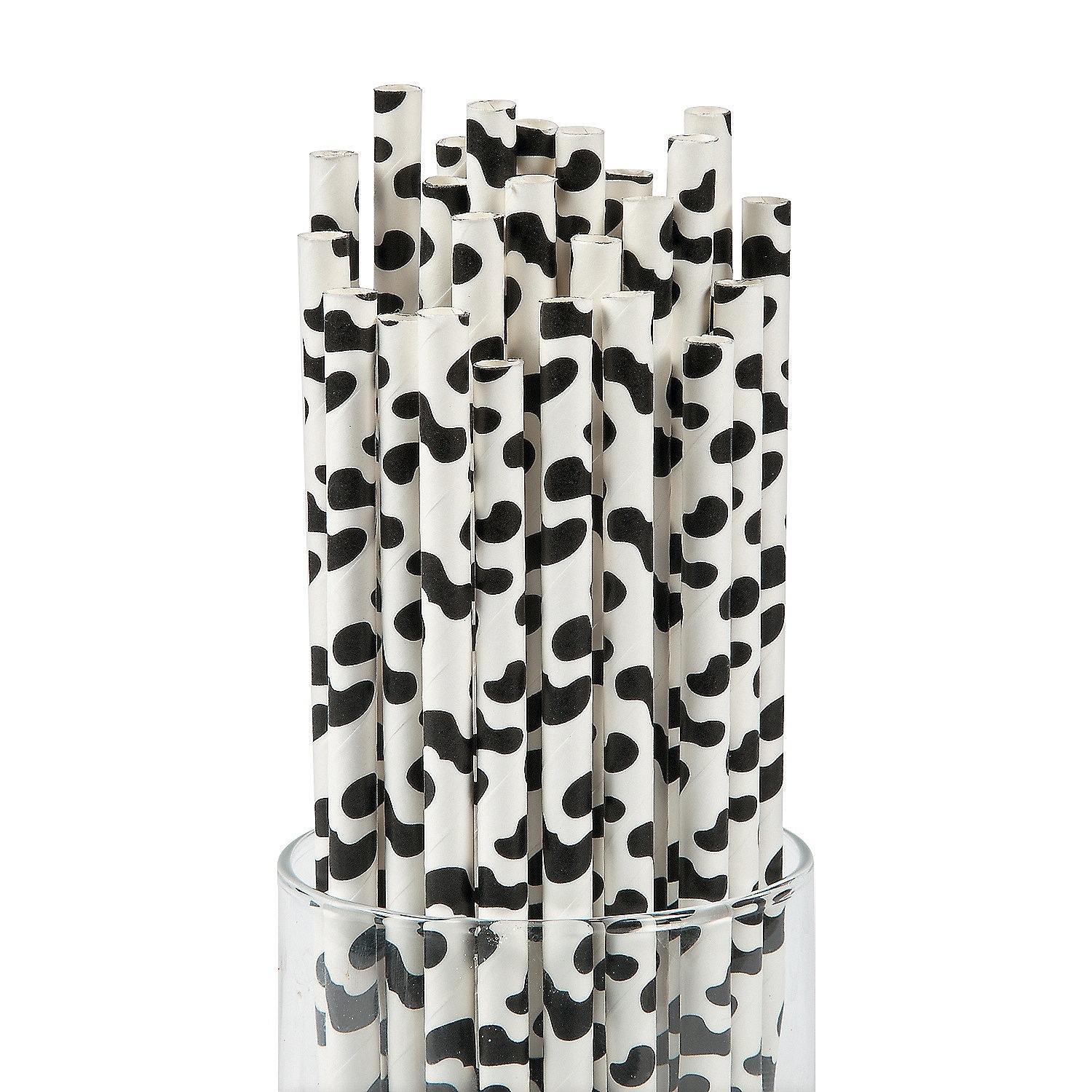 Buy Cow Print Paper Straws (Pack of 24) - MyDeal Australia