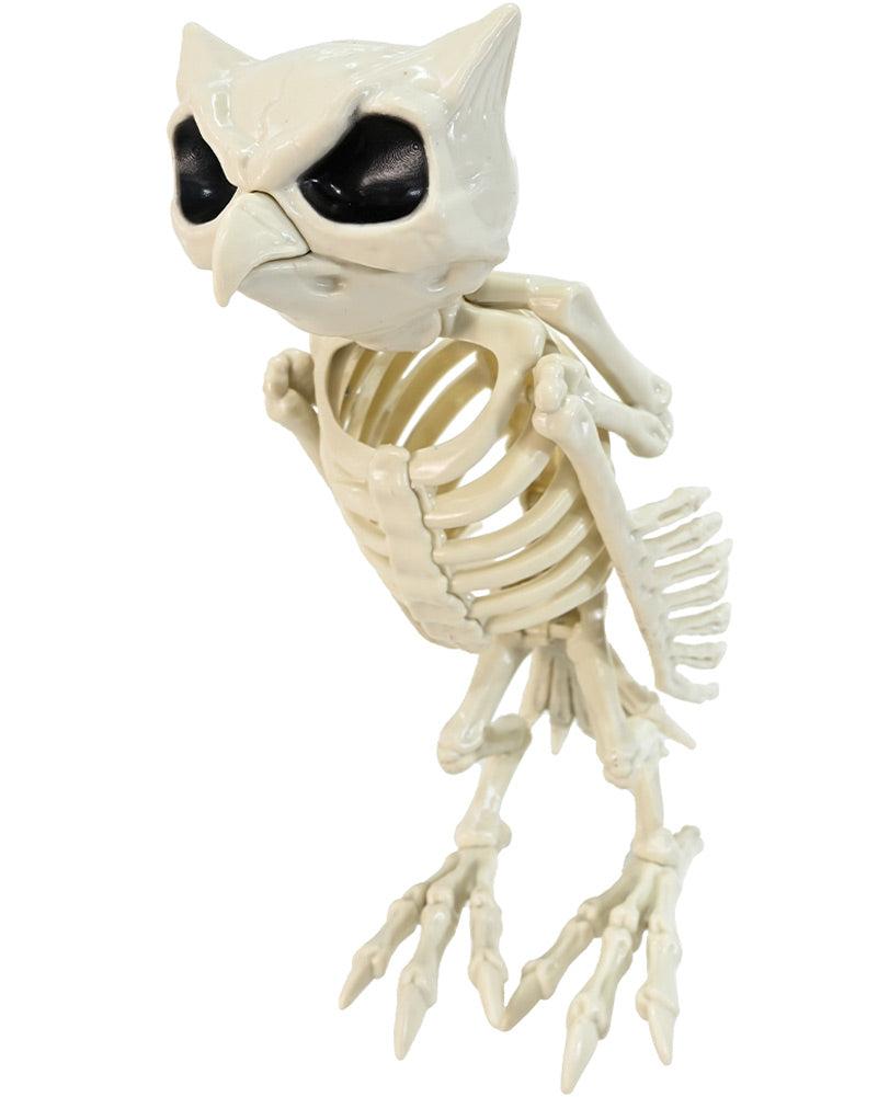 Buy Skeleton Owl Halloween Prop 35cm - MyDeal Australia