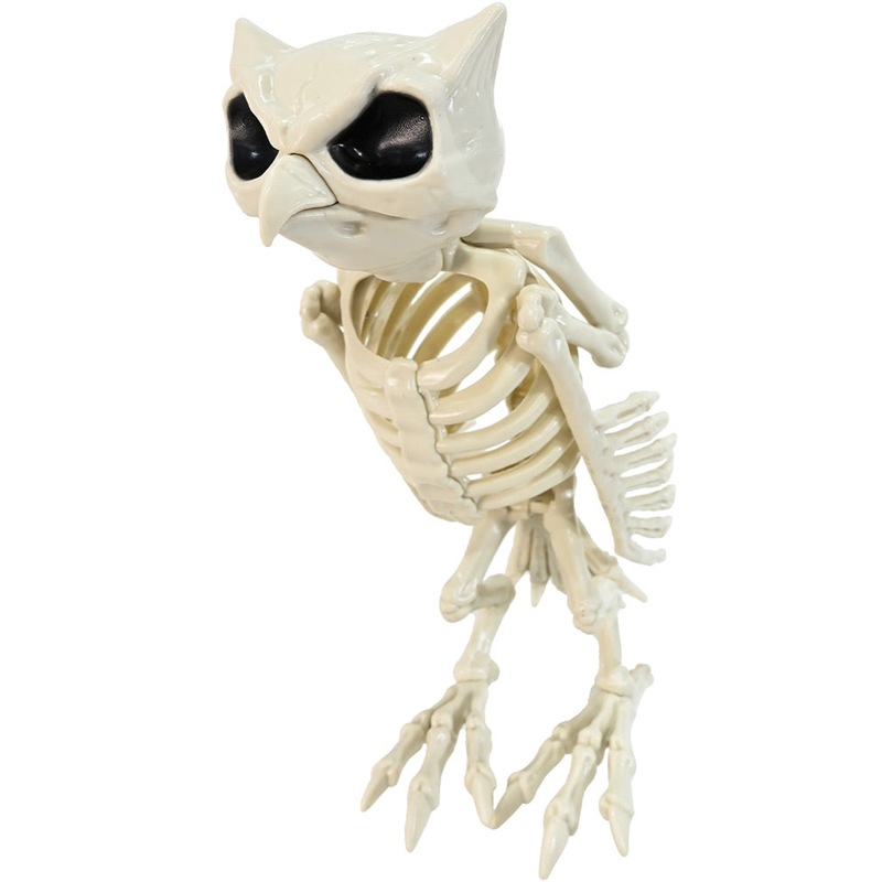 Buy Skeleton Owl Halloween Prop 35cm - MyDeal