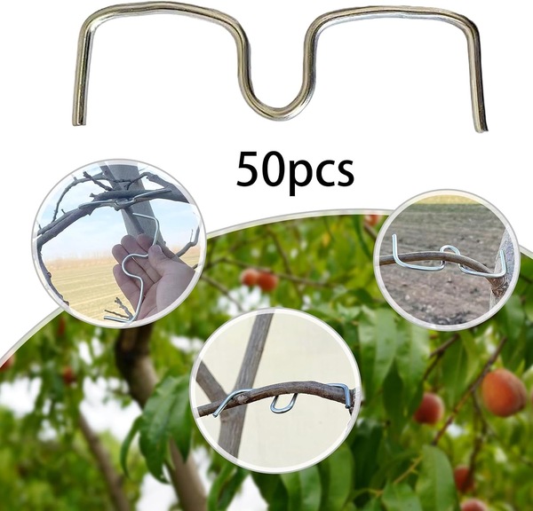 Buy 50Pcs Fruit Tree Branch Puller Pull Branch Bending Tool Fruit Trees ...