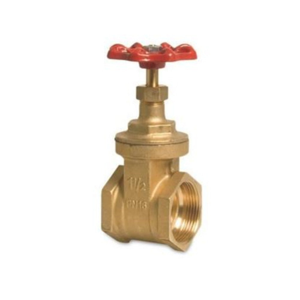 Buy 20mm Female BSP Gate Valve - MyDeal Australia