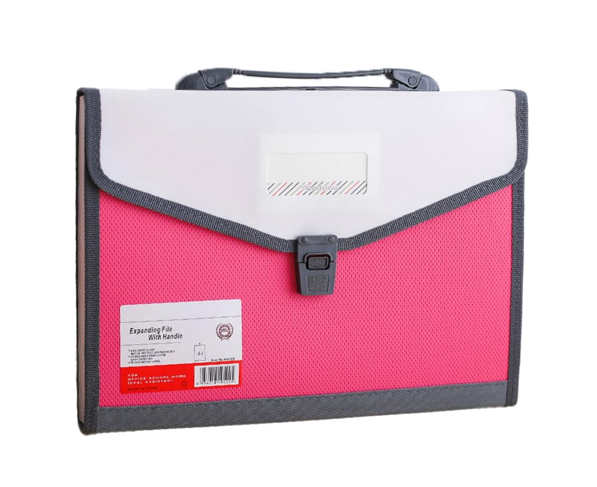 Buy 13 Pockets Document Organizer Expanding File Folder , Letter A4 ...