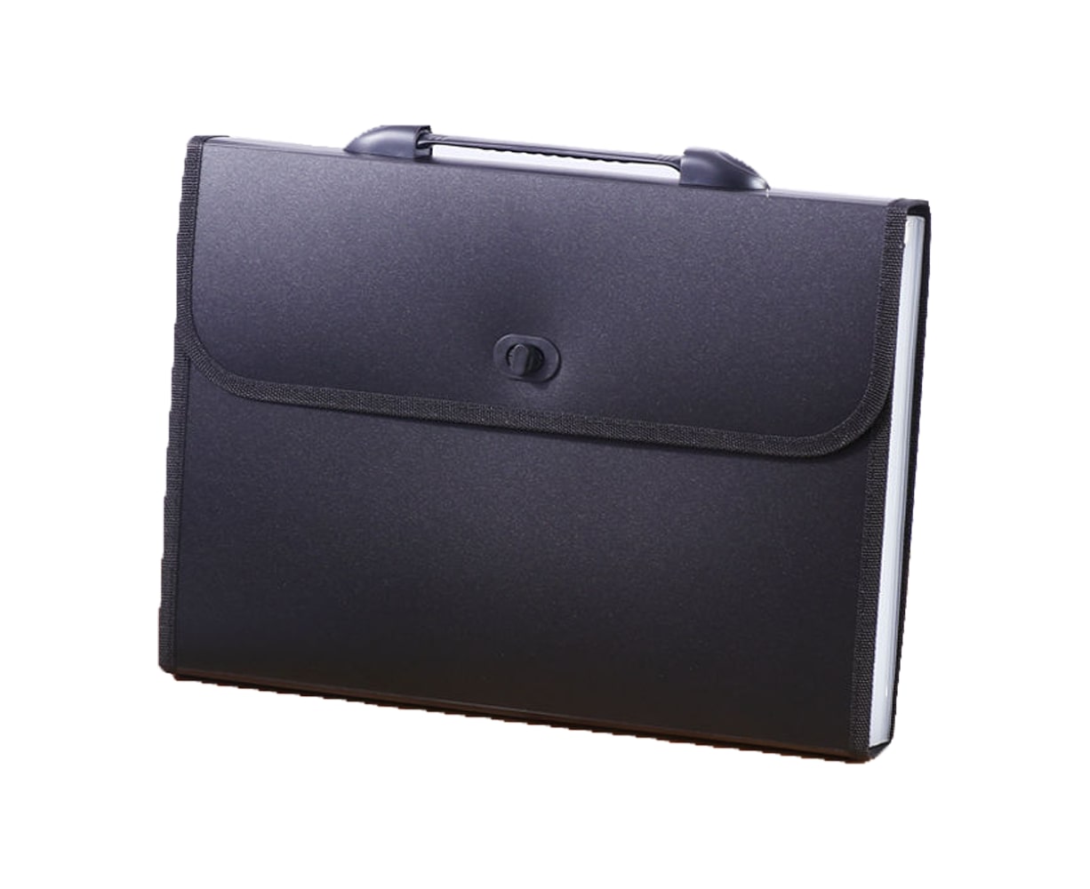 Buy JOYBUY 13-Pocket Portable Expanding File Folder - MyDeal Australia