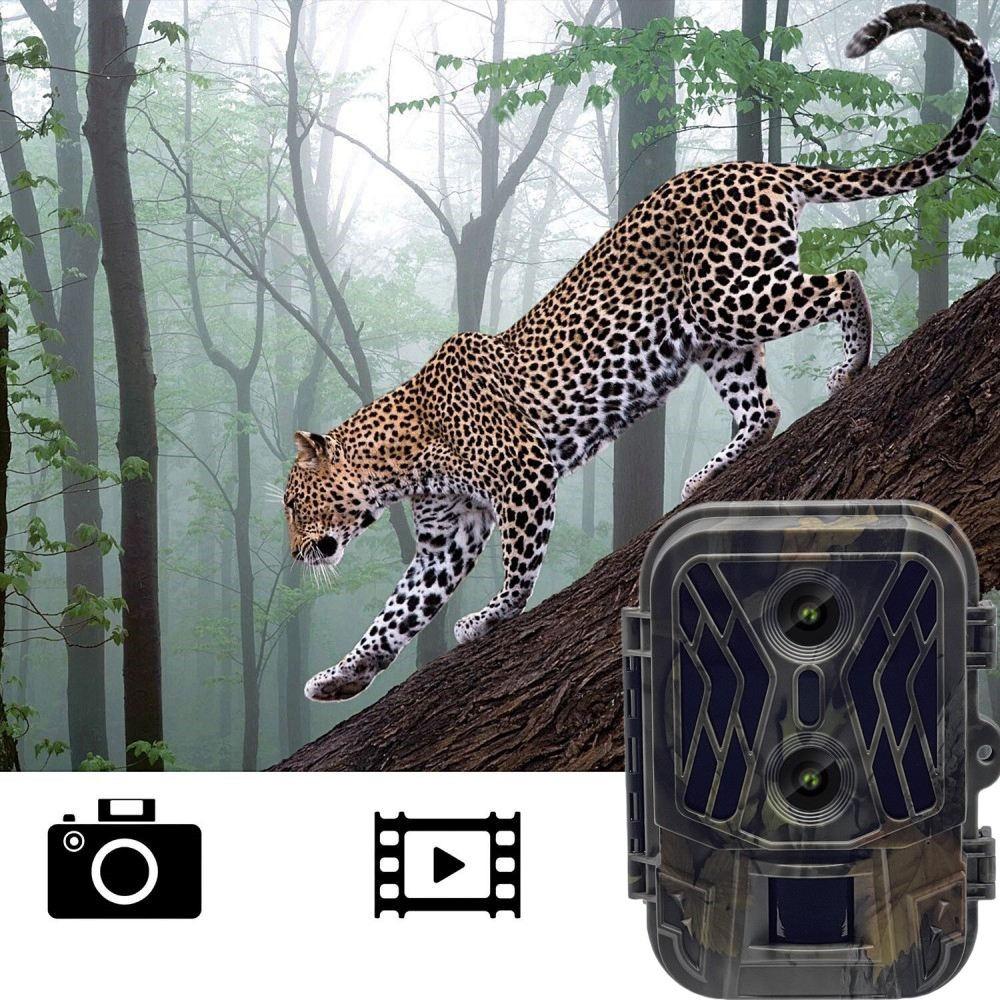 Buy 50mp 4k Dual Lens Infrared Hunting Camera for Outdoor Rainfall and ...