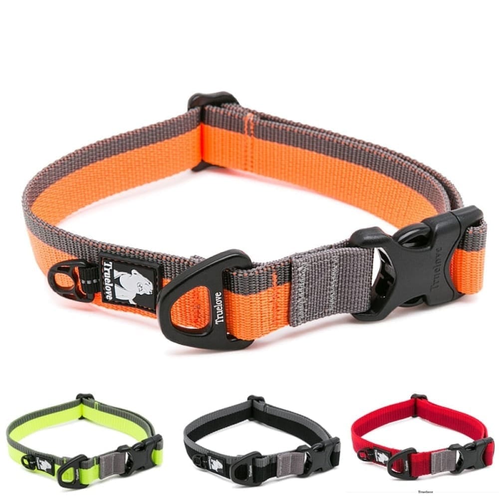 Buy Nylon Dogs Neck Belt Training - MyDeal Australia