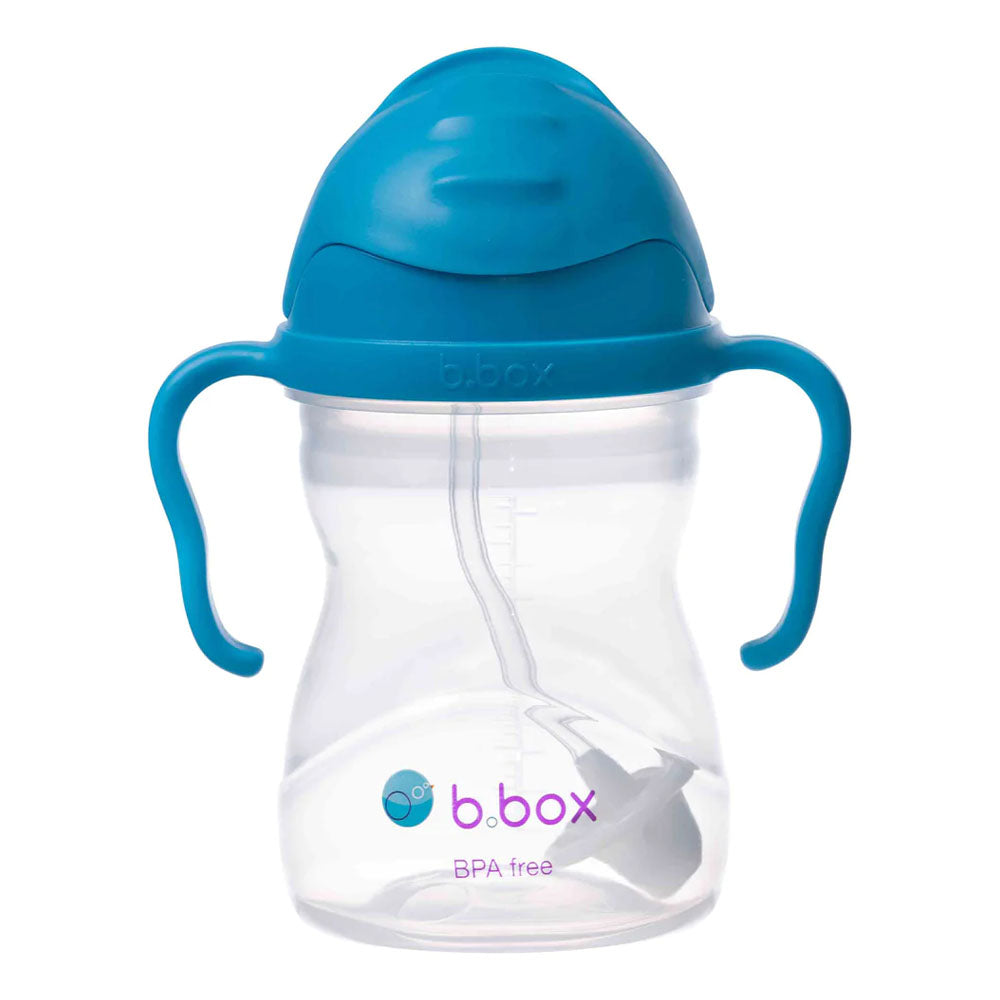 Buy B.box Sippy Cup Baby Training Bottle 360 Degree W/ Straw Leak Proof ...