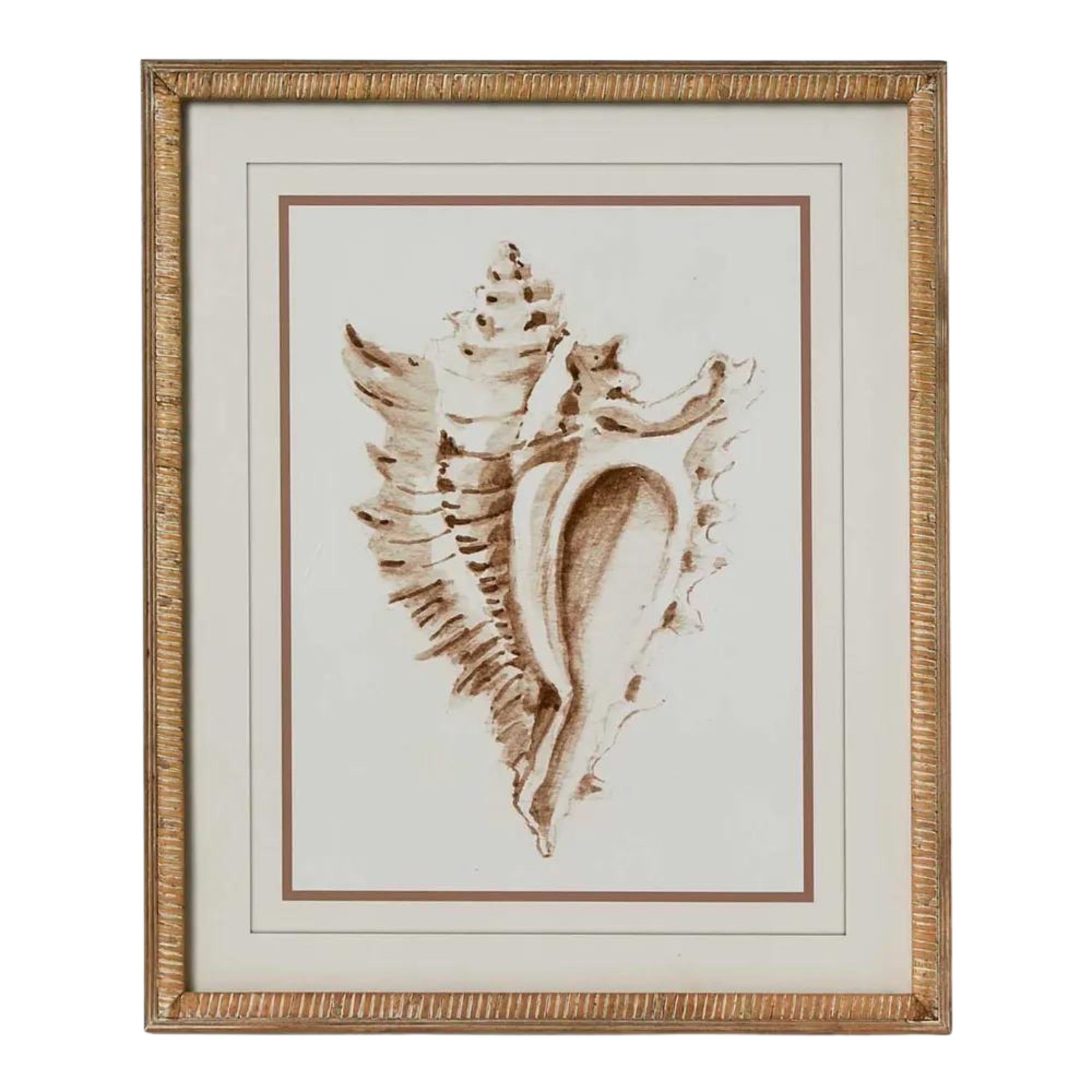 Buy Conch Shell Wall Art A - MyDeal Australia