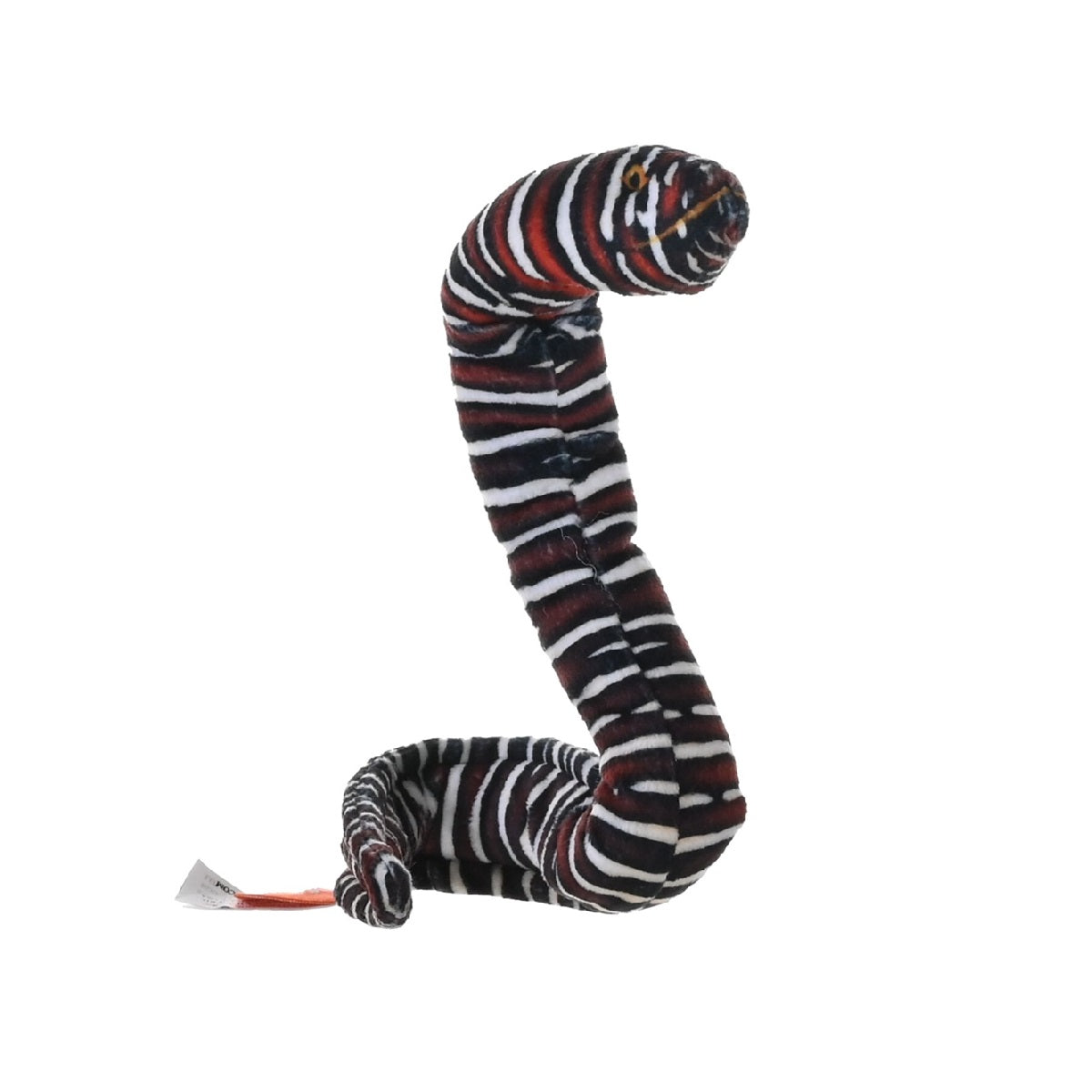 Buy Wild Republic Coilkins Moray Eel Zebra 12" - MyDeal Australia