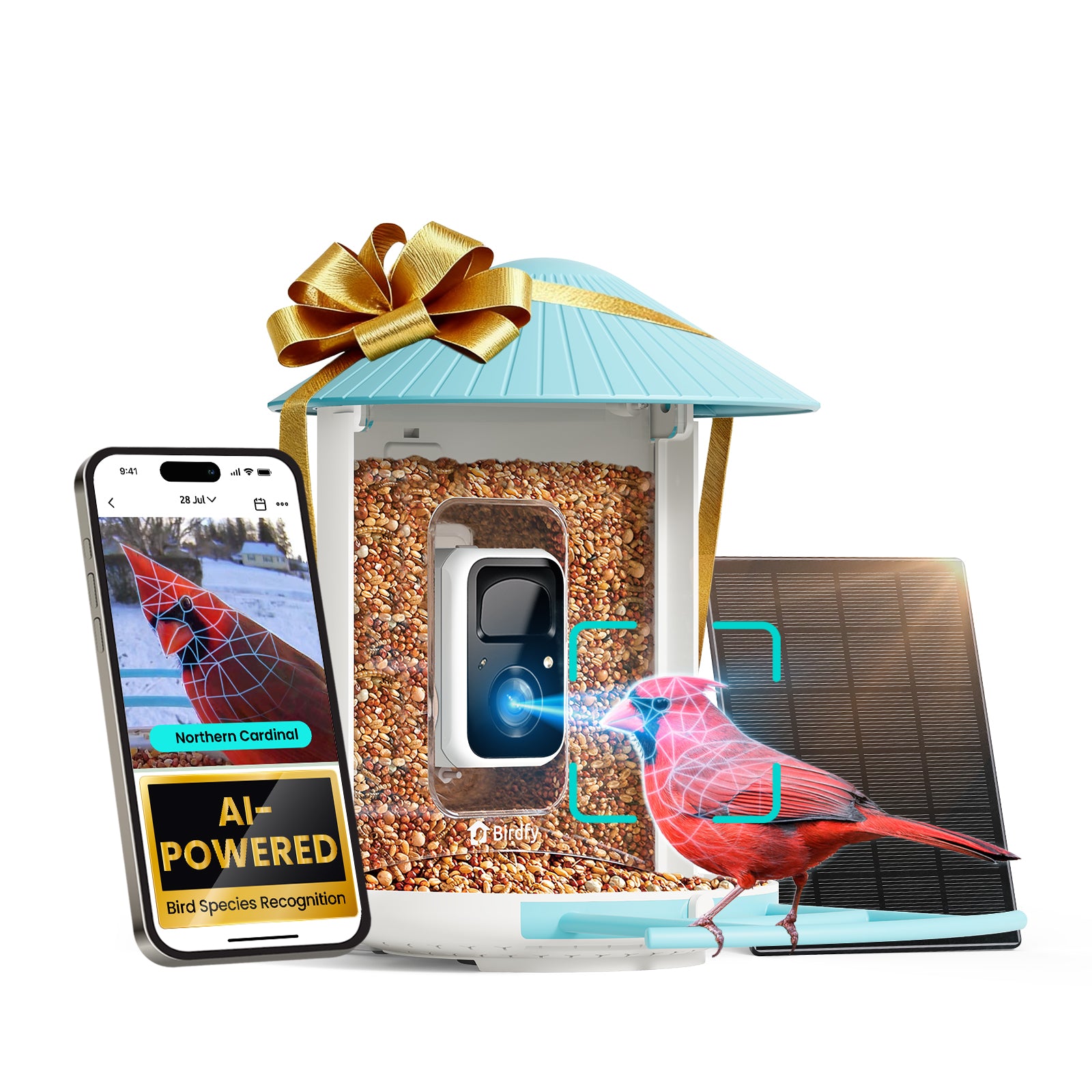 Buy Birdfy Feeder - AI Smart Bird Feeder with Camera (Solar Powered ...