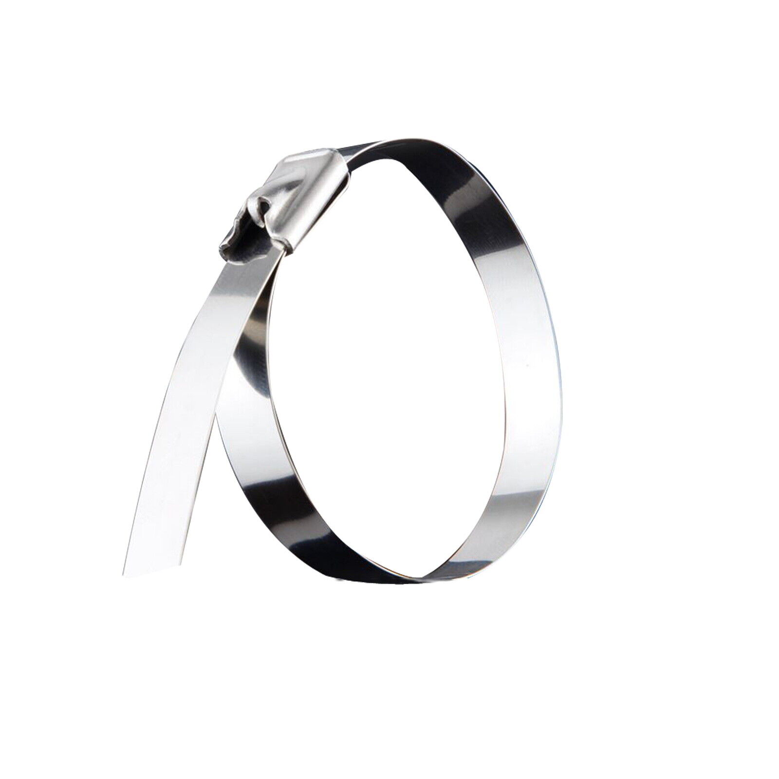 Buy 100X 200mm Cable Ties 304 Stainless Steel Self Locking Zip Bulk ...