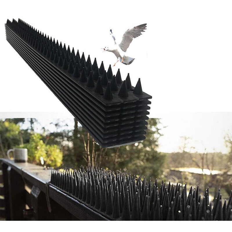 Buy Pest Control Spiked Fence Wall 12pcs Bird Spikes Human Cat Possum ...