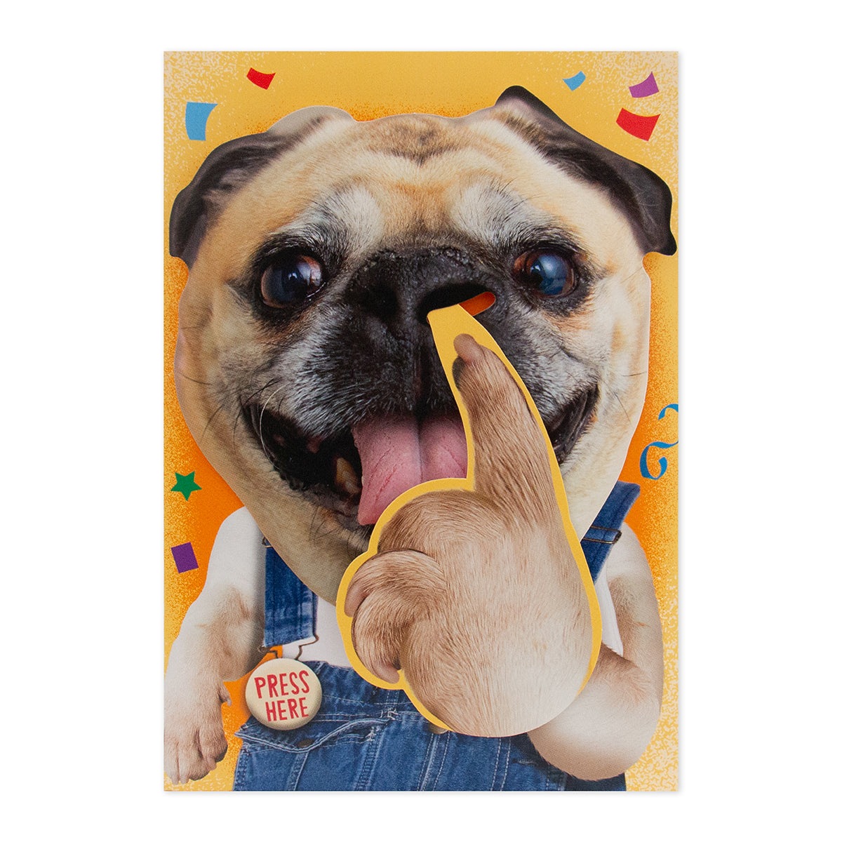 Buy Hallmark Interactive Sound Card - Pickin' Dog - MyDeal Australia