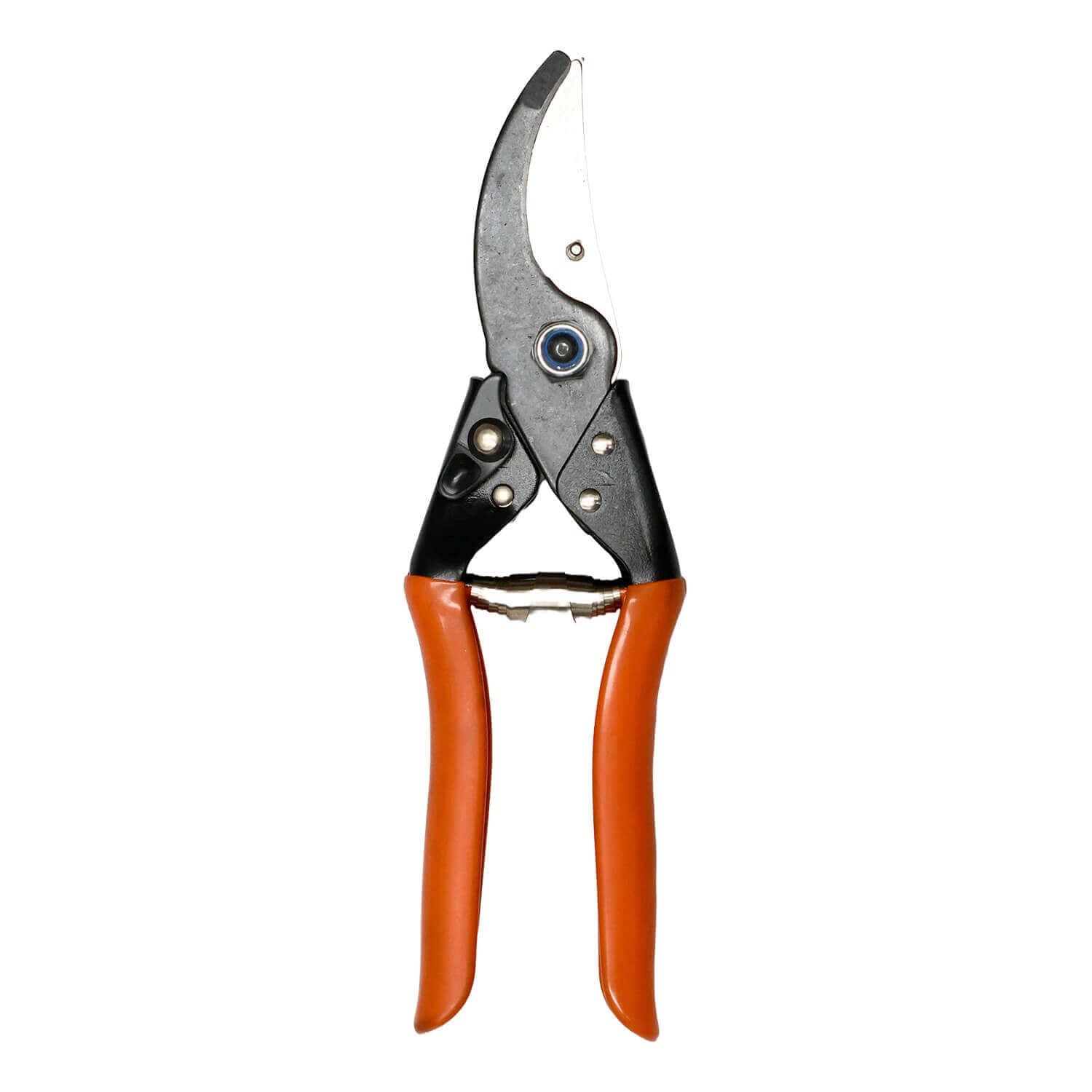 Buy Stainless Steel Flower Cutter Pruning Secateurs - Grafting Tool ...