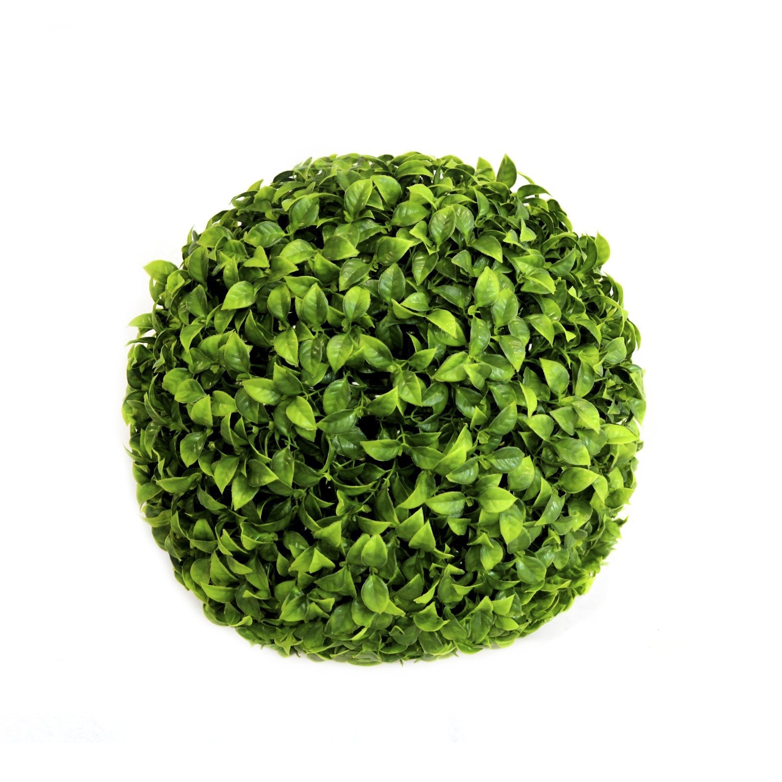 Buy Topiary Ball Pittosporum 52cm - MyDeal Australia