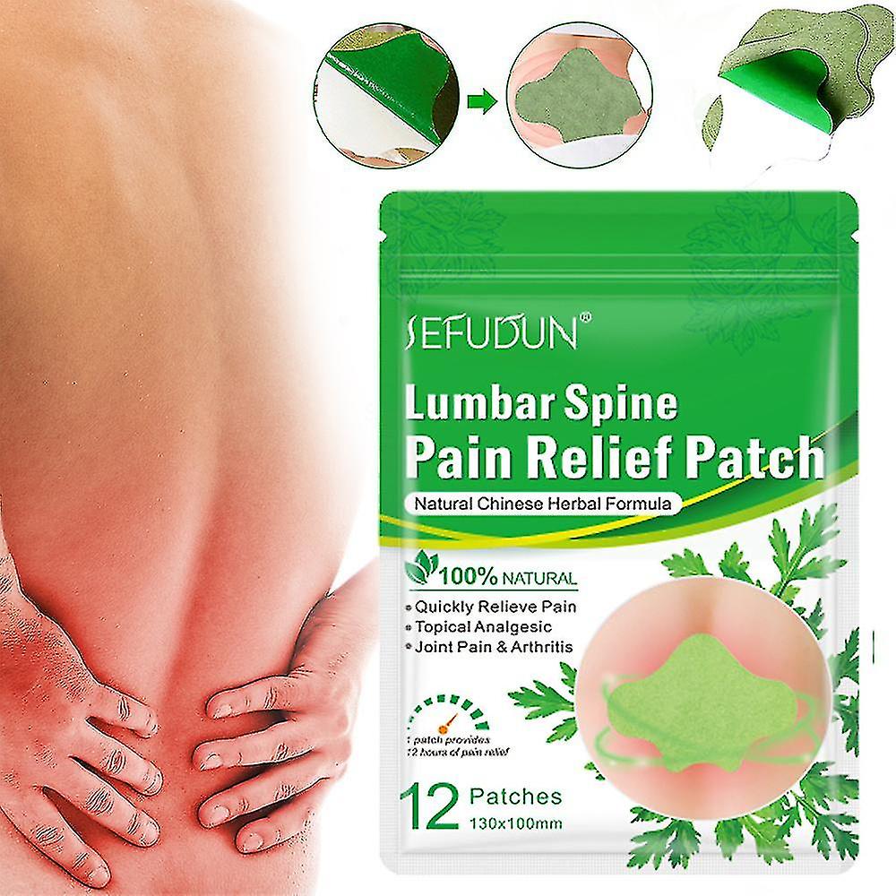 Buy Lumbar Spine Patches Topical Analgesic Joint & Arthritis Pain ...