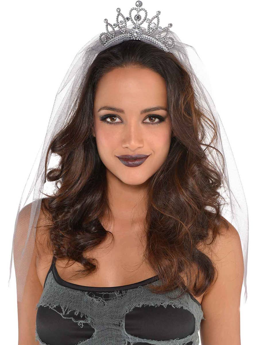 Buy Plastic Silver Tiara with Grey Veil - MyDeal Australia