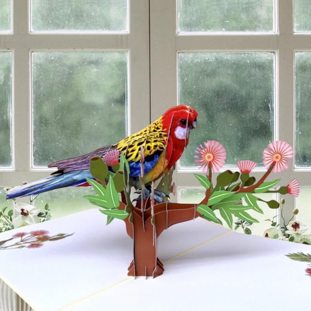 Buy Australian Eastern Rosella Parrot Bird Origami Card - MyDeal Australia