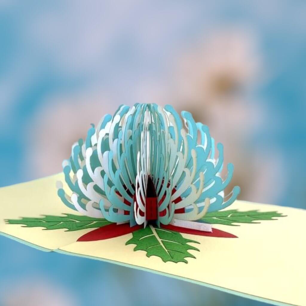 Buy Australian Native White & Blue Waratah Flower Card - MyDeal Australia
